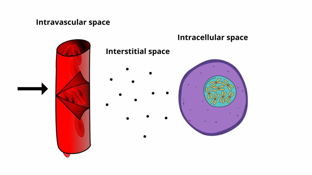 The Body as a Temple: Surprising Parallels with the Ancient Hebrew ...
