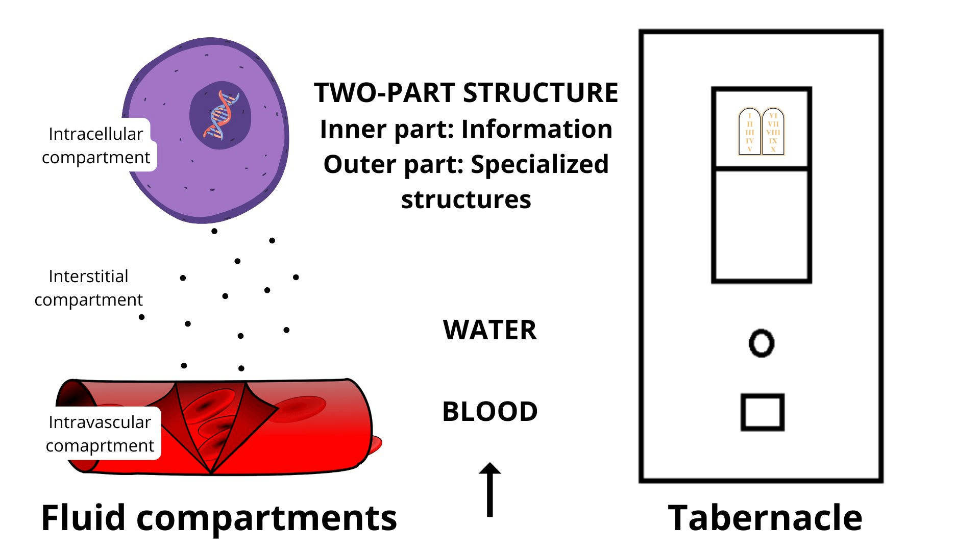 The Body as a Temple: Surprising Parallels with the Ancient Hebrew ...